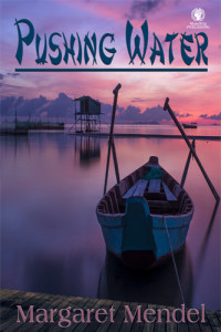 PUSHING WATER IS NOW AVAILABLE IN PAPERBACK - Pushing Time